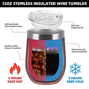 Diztoud 40th Birthday Gifts Women, Forty and Fabulous, 40th Birthday Decorations, Funny 40 Year Old Birthday Gifts for Her, Sister, Best Friends, 12oz Stainless Steel Wine Tumbler, Keychain and Box