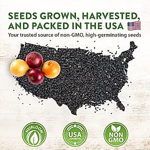 8 Onion Seeds for Planting - 1600 Heirloom Onion Seeds - Green Onion, Sweet Onions, Vidalia, Spanish, Yellow and Red Onion Vegetable Seeds for Planting and More