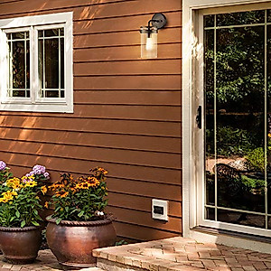 Globe Electric Brookdale 1-Light Outdoor Indoor Wall Sconce, Matte Black, Clear Glass Shade