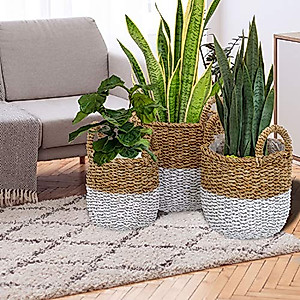 Plastic Lined Seagrass Baskets, Set of 3, Paint Dipped in Coastal White, Chunky Weave, Rustic, Natural, Barrel Belly, Top Handles, 10.25, 11, and 12.25 Inches T