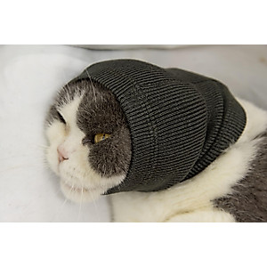 DDFS 2 Pack Cat No Flap Ear Wrap, Hoodie Anxiety Pet Earmuffs No Flap Ear Wrap Cat Small in Bath - Blue+Grey S