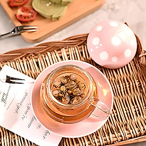 Mozacona Glass Mushroom Shape Teacup Saucer Set Coffee Mug with Filter Cup