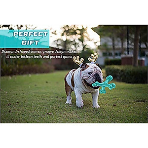 CVALIN Dog Chew Toys for Aggressive Chewers Large Breed,Indestructible Bones Toy，Durable Cleaning Toothbrush Natural Rubber Dog Toys