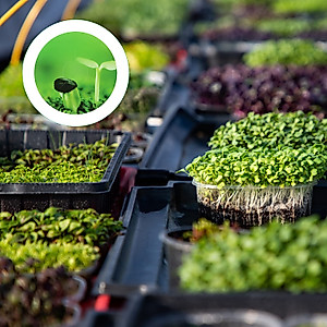 120pcs Plant Grow Stickers Compatible with AeroGarden Seed Pod, Grow Baskets Labels Hydroponic Plant Label for Seedlings Garden Pods for Labeling Plants and Recording Plant Growth (Round, Flower)