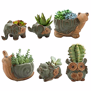 Okllen 6 Pack Mini Owl Elephant Succulent Pot with Drainage Hole, Cute Animal Ceramic Succulent Planter Set, Vintage Cactus Plant Pot for Bonsai, Small Flower Pot, Home Decor, Garden, Indoor, Outdoor