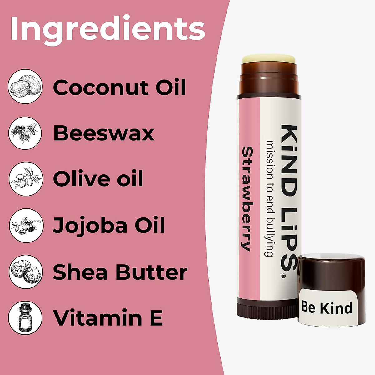 USDA Organic Lip Balm Variety 5 Pack – 100% Natural, Moisturizing Lip Care with Beeswax & Coconut Oil – Hydrating Lip Balm for Dry, Chapped Lips, Chapstick Best Lip Repair for Women, Men, Kids