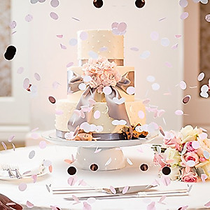 TecUnite Rose Gold Pink Confetti Tissue Paper Table Confetti, 1.76 oz