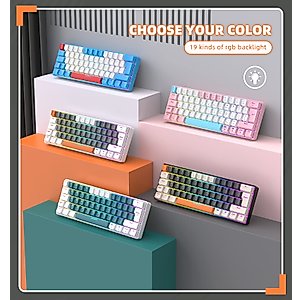 LexonElec T60PRO 60% Mechanical Keyboard and Mouse Combo+Coiled USB C Cable, Compact RGB LED Backlit Keyboard, Clicky Blue Switch, 6400 DPI Programmable RGB Mouse for PC Mac Gamer(Gray&Orange)