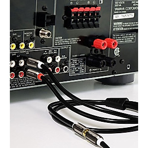 FosPower RCA Y-Adapter (6 Feet), 1 RCA Male to 2 RCA Male Y Splitter Digital Stereo Audio Cable for Subwoofer, Home Theater, Hi-Fi - Dual Shielded | 24K Gold Plated