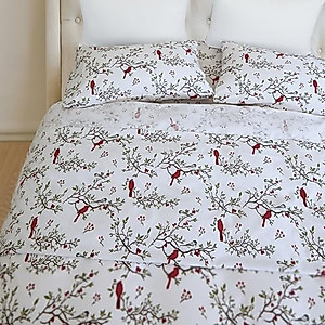 Elegant Comfort Soft 4-Piece 100% Turkish Cotton Flannel Sheet Set - Premium Quality, Deep Pocket Fitted Sheet, Ultra Soft, Cozy Warm Flannel Sheets - Twin, Cardinal