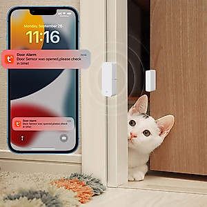 WiFi Door Sensor, Tuya Smart Door Window Sensor, Smart Window Sensor Real-time Alarm Compatible with Alexa Google Assistant,Home Security Door Open Contact Sensor for Business Burglar Alert (1 Pack)