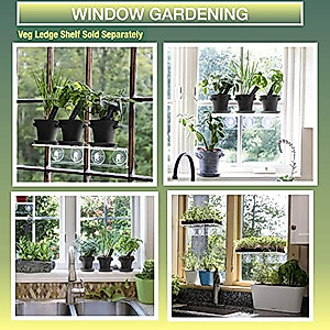 Window Garden Herb Growing Kit - Grow an Indoor Garden, Herb Kitchen Windowsill - Non GMO Seeds, Fresh Organic Basil, Chives, Sage - Rustic Set of Planters with Fiber Soil - Herbs Growing Starter Set