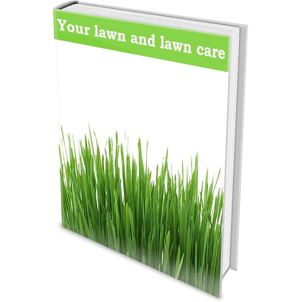 (New) Compatible with Toro 125-1063 Plate-Brake OEM + Free ebook - Your Lawn & Lawn Care -