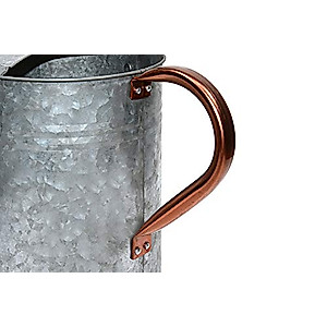 Metal Watering Can, One Gallon Watering Cans Stainless Steel Handle for Outdoor Indoor Garden Plants Watering (1 Gallon Silvers)