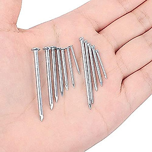 HongWay 1500pcs Hardware Nails Assortment Kit, Galvanized Nails Set, Assorted 12 Sizes Wire and Common Brad Nails Flat Nails Finishing Nails Wall Nails for Pictures Hanging Woodworking