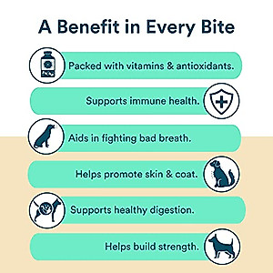 Benefit Biscuits, All Natural Dog Treats, Certified Vegan, Non GMO, Wheat Free, Healthy Dog Biscuits, Made in USA (Mint, Regular Bag, 7oz)