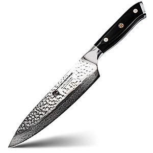 Premium 8 Inch Damascus Chef Knife, VG10 Super Steel 67 Layer High Carbon Stainless Steel Kitchen Knife with Full Tang Handle