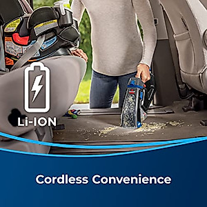 BISSELL Pet Stain Eraser Plus, 3181