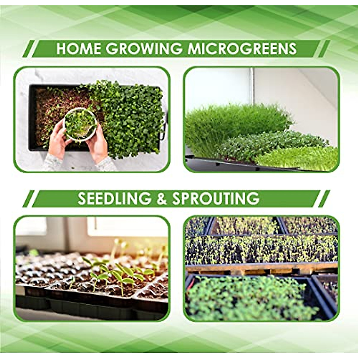 Germinator 6 Pack Premium Quality Seedling Trays, Microgreens Growing Trays, No Drain Holes, Heavy Duty, Durable Plastic, 1.5mm Thick, Plants Drip Tray, Best for Sprouting Vegetables and Wheatgrass