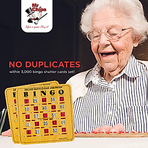 MR CHIPS Bingo Cage Only Plus 10 Cards with Sliding Windows