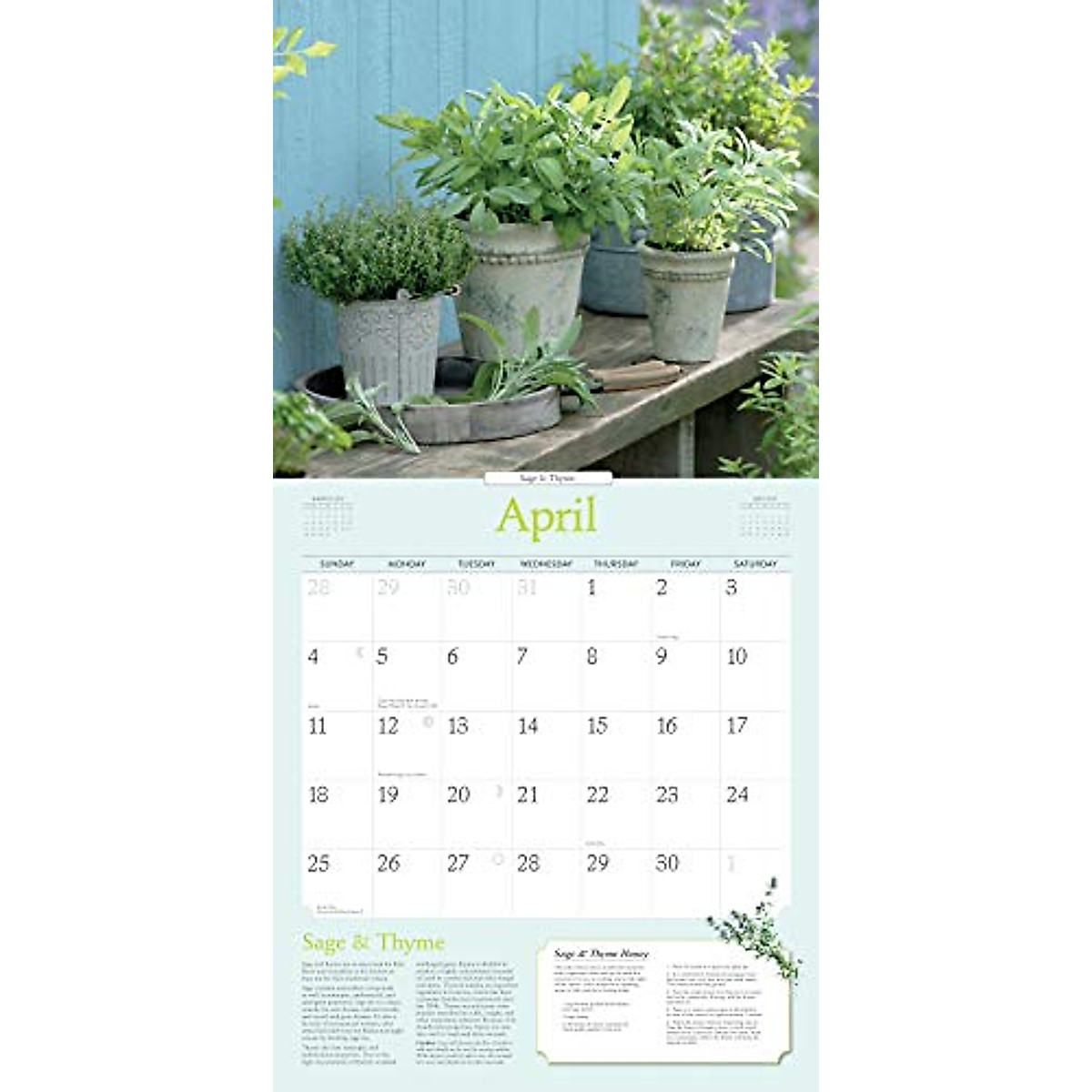Rosemary Gladstar's Herbs Wall Calendar 2021