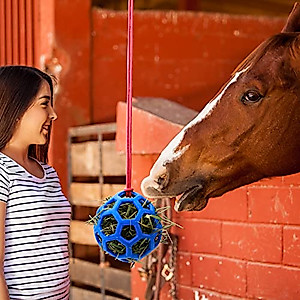Woiworco 2 Packs Horse Hay Balls Horse Treat Ball, Goat Feeder Toys, Slow Feed Hay Balls Horse Toy Balls, Hanging Feeding Balls Horse Stall Toys for Horse Goat Feeding, and Relieve Stress