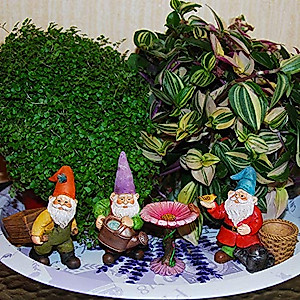 Mood Lab Miniature Gardening Gnomes Set of 4 pcs - 3,5" H Garden Gnome Figurines & Accessories Kit - Outdoor or House Decor
