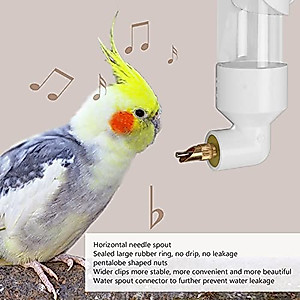 VINGVO Bird Automatic Drinking Device, Bite Pin Spout Bird Drinking Water Bottle Large Capacity Safe for Small Medium Large for Bird Cage Accessories (White)
