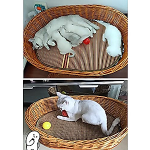 ZJMK Wicker Dog Cat Bed with Cushion & Bamboo Mat, Small Medium Dogs Cats Basket Washable Wicker Nest, Various Size (Size : #1(50×38cm/19.7×15in))