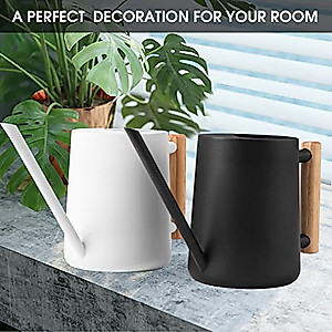 Watering Can Indoor Plants, 35 oz/1000 ml Metal Stainless Steel Watering Can Small Modern Watering Pot with Long Spout for Indoor House Plants Bonsai Outdoor Garden Flower Decorative (Black)