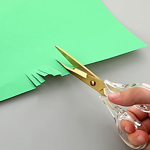 Heavy Duty Gold Scissors Craft Scissors Clear Acrylic Scissors Craft Office Professional Shears for Home School Office Paper Fabric