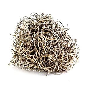 Galápagos (05160) Spanish Moss, Mini Bag