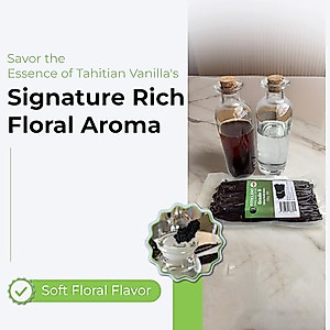 50 Tahitian Vanilla Beans Grade B for extract, Cooking and Baking by FITNCLEAN VANILLA| Fresh 5"-6" NON-GMO Whole Natural Raw Pods