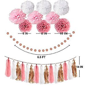 OuMuaMua Pink Rose Gold Birthday Party Decorations Set, Rose Gold Glittery Happy Birthday banner, Tissue Paper Pom, Circle Dots Garland and Tassel Garland for Birthday Party Decorations