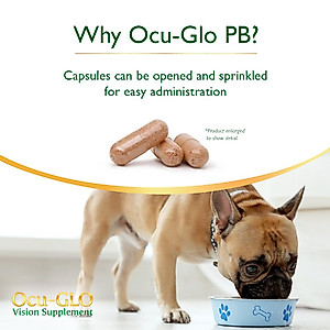 Ocu-GLO PB Vision Supplement for Medium & Large Dogs – Easy to Administer Powder Blend with Lutein, Omega-3 Fatty Acids, Grape Seed Extract & Antioxidants to Promote Eye Health, 90ct Powder Capsules