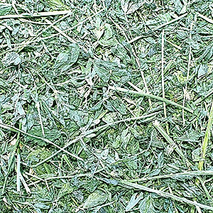 Grandpa's Best Alfalfa Hay for Rabbits, Guinea Pigs, Chinchillas, Hamsters & Gerbils, 10lb Loose Boxed