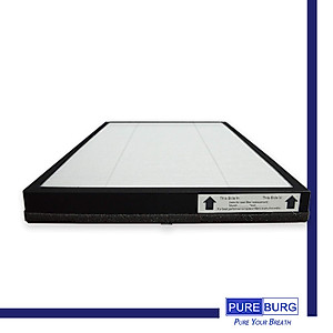 PUREBURG Replacement True HEPA Filters Compatible with Envion Allergy Pro AP450 Air Purifier,Replaces Part# AP450F,H13 High-efficiency Air Clean,2-Pack