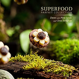 Laumière Gourmet Fruits - Superfood Parfait Collection - Square (16 Pcs) - Healthy Gift Basket - Dried Fruit Gift Basket - No Added Sugar - Gluten Free - Vegan Gift Basket - Dried Fruit and Nuts