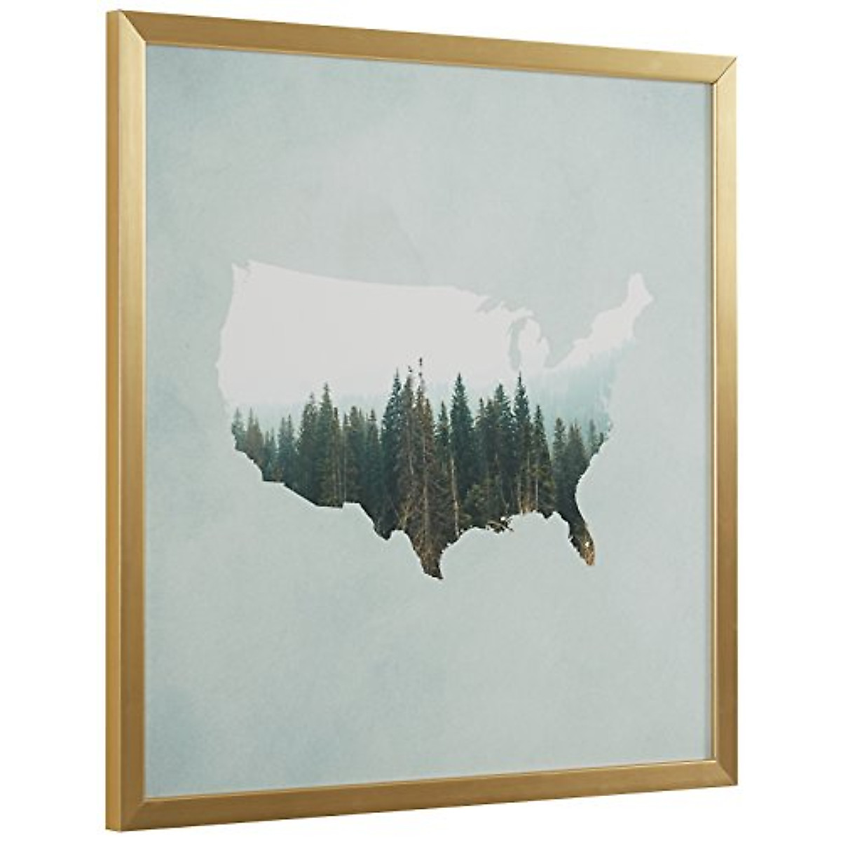 Amazon Brand – Rivet American Forest Map Wall Art Print in Gold Wood Frame, 12" x 12"