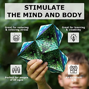 SHASHIBO Shape Shifting Box - Award-Winning, Patented Fidget Cube w/ 36 Rare Earth Magnets - Transforms Into Over 70 Shapes, Download Fun in Motion Toys Mobile App (Original Series - Wings)