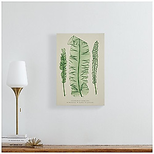Amazon Brand – Stone & Beam Modern Green on White Botanical Canvas Print Wall Art, 16" x 24"