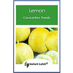 50 Lemon Cucumber Seeds | Non-GMO | Heirloom | Fresh Garden Seeds