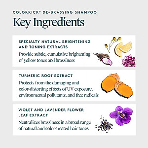 VIRTUE De-Brassing Shampoo, Natural Color Toner, Brightens and Revitalizes All Color-Treated Hair, ColorKick, 8 Fl Oz