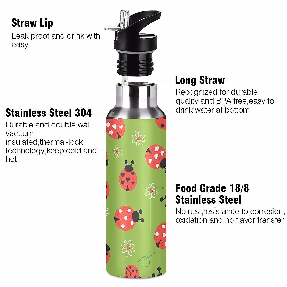 xigua Ladybug Water Bottle Double Walled Stainless Steel Leak Proof Thermo Flask for Sports Gym Cycling Outdoor,20 oz.