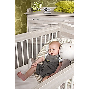 Motorola MBP18 Digital Wireless Video Baby Monitor with 1.8-Inch Color LCD Screen, 2.4 GHz FHSS, and Infrared Night Vision