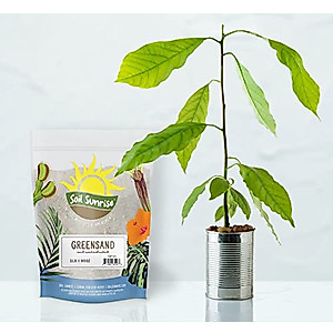 Greensand Soil Amendment (5 Pounds); Special Container Gardening Additive