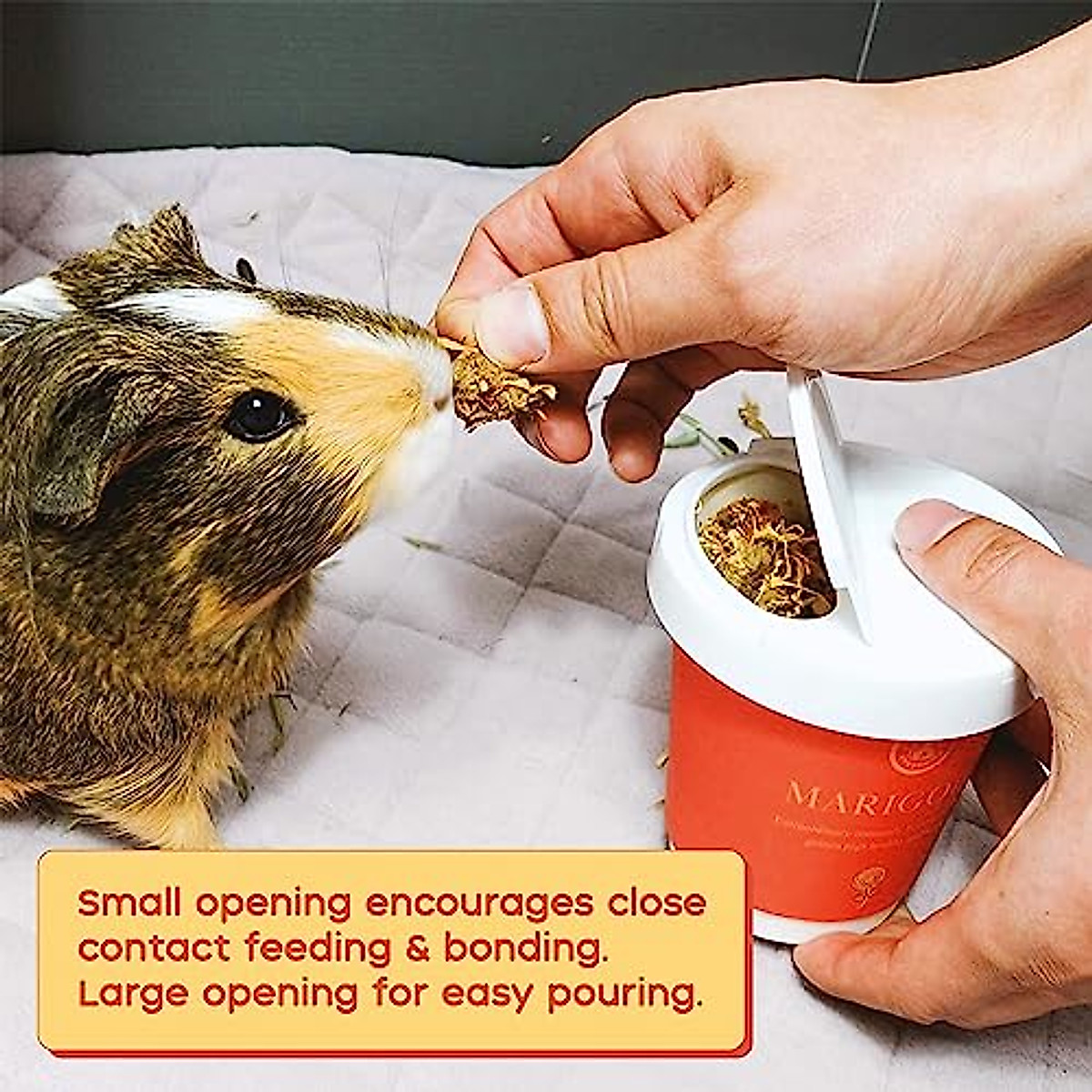 GuineaDad Organic Guinea Pig Herbal Treats - Guinea Pig Food with Convenient Packaging - Marigold Flavor - 1.2-oz - Guinea Pig Treats Help with Bonding - High in Nutrition, Immune Support - Small