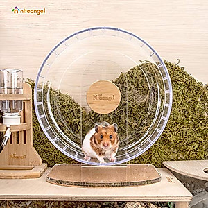 Niteangel Super-Silent Hamster Exercise Wheels - Quiet Spinner Hamster Running Wheels with Adjustable Stand for Hamsters Gerbils Mice Or Other Small Animals (M, Transparent)