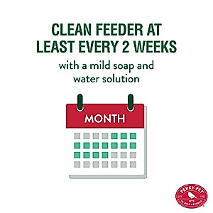 Perky-Pet 1 Mason Jar Wild Bird Waterer 783, Blue