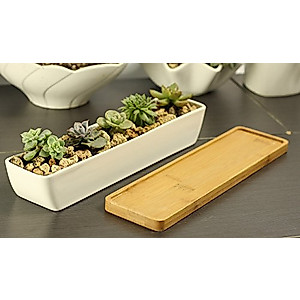 11inch Long Rectangle White Ceramic Succulent Planter Pots/Mini Flower Plant Containers with Bamboo Saucers. Product Size:11x2.36x1.77inch,not Include The Plant. (Long Rectangle)